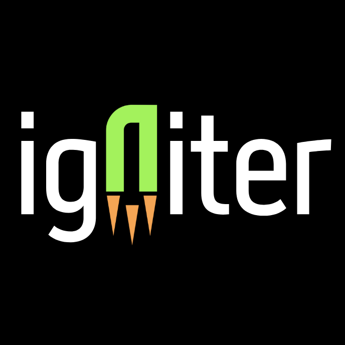 Especialistas en consultoría empresarial | Igniter MX